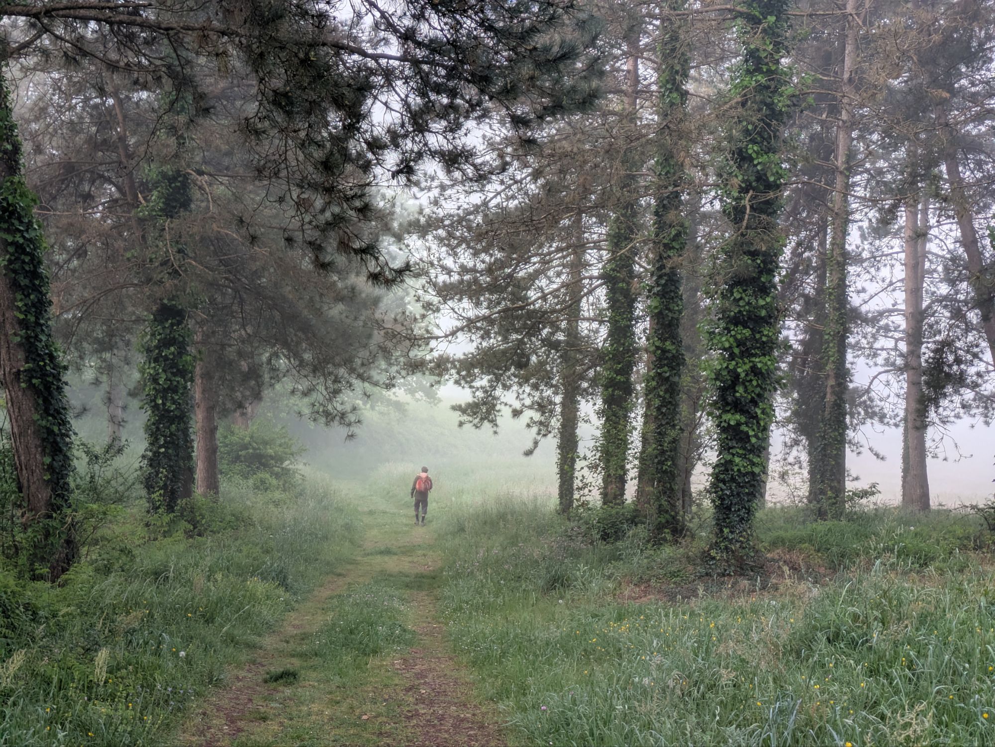 Camino Stage 5: Day 9 – Saint Sever to Hagetmau – From The Quire