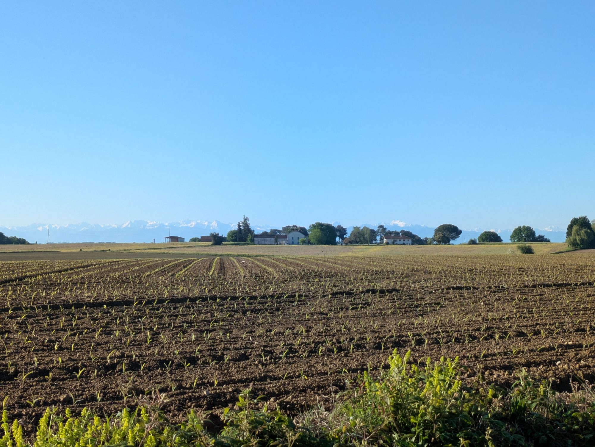 Camino Stage 5: Day 10 – Hagetmau to Beyries – From The Quire