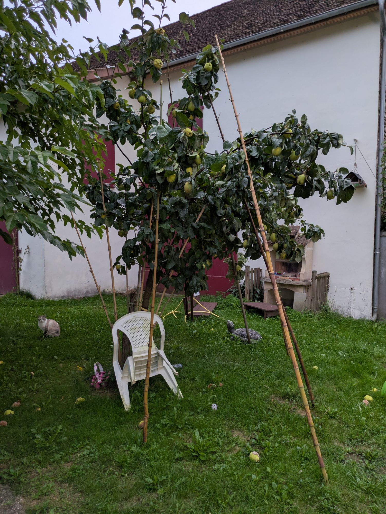 Camino Stage 6: Day 4 – Les Étoiles d’Orion to Osserain-Rivareyte ...